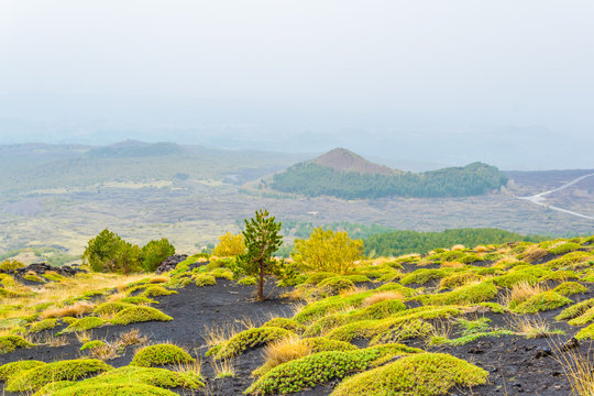 Lopolith Images – Browse 53 Stock Photos, Vectors, and Video | Adobe Stock