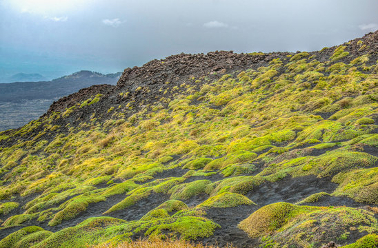 Lopolith Images – Browse 53 Stock Photos, Vectors, and Video | Adobe Stock