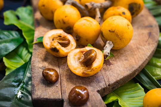 Mushmula Images – Browse 60 Stock Photos, Vectors, and Video | Adobe Stock