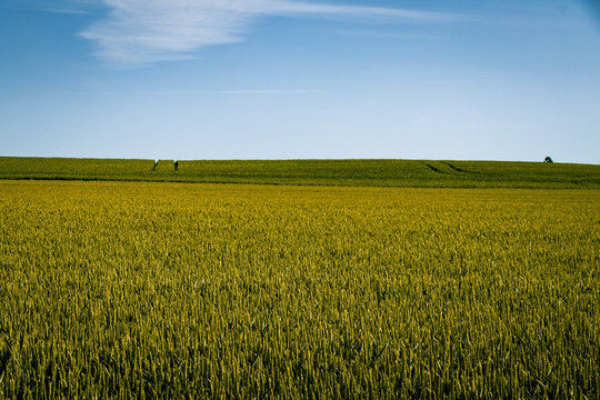 Greenfield Images – Browse 6,601 Stock Photos, Vectors, and Video ...