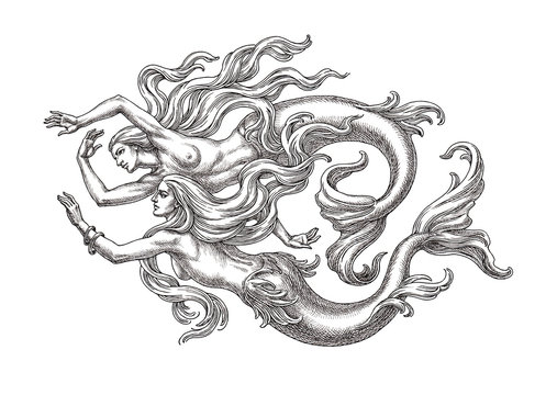 Undine Images – Browse 42 Stock Photos, Vectors, and Video | Adobe Stock