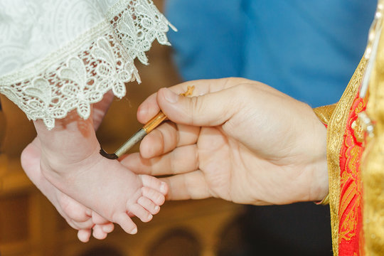 รูปภาพDiti – เลือกดูภาพถ่ายสต็อก เวกเตอร์ และวิดีโอ566 | Adobe Stock