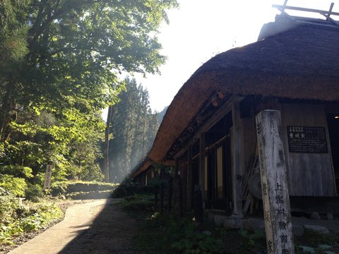 SHEEP-WING photos, images, assets | Adobe Stock