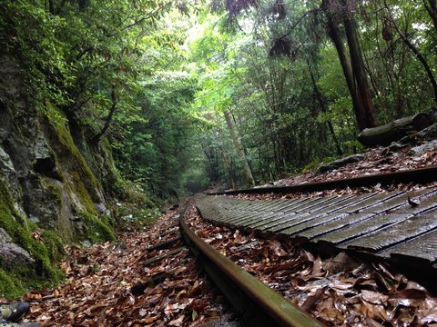 SHEEP-WING photos, images, assets | Adobe Stock