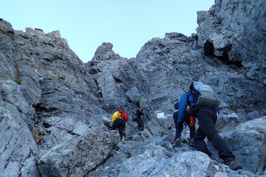 SHEEP-WING photos, images, assets | Adobe Stock