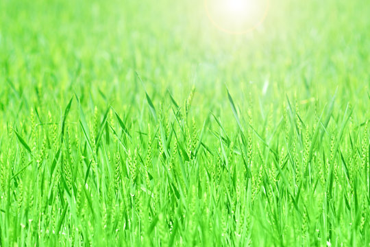 "Rural Economy" Images – Browse 10,731 Stock Photos, Vectors, and Video ...