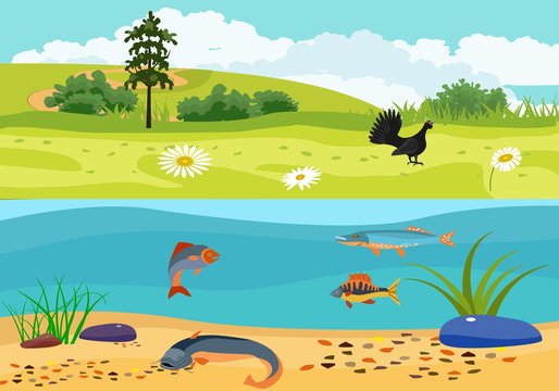 "Vector Fish" Images – Browse 2 Stock Photos, Vectors, and Video ...