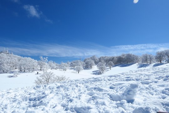 SHEEP-WING photos, images, assets | Adobe Stock