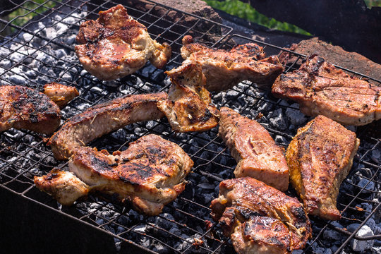 Imagens de Meat-Eater – Explore Fotografias do Stock, Vetores e Vídeos ...