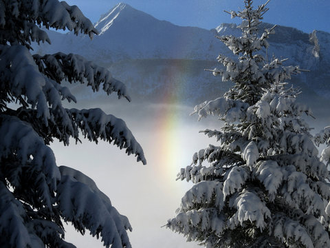 Alignment Nature Bilder – Durchsuchen 40,890 Archivfotos ...