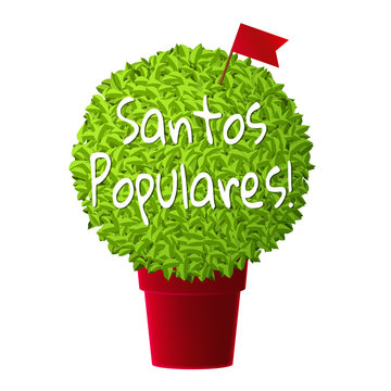 60 MELHORES IMAGENS, FOTOGRAFIAS E VETORES DO STOCK SOBRE Manjerico ...