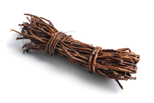 Palustre Images – Browse 1,643 Stock Photos, Vectors, and Video | Adobe ...