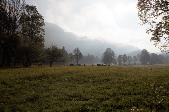 Seekar Images – Parcourir 668 le catalogue de photos, vecteurs et ...