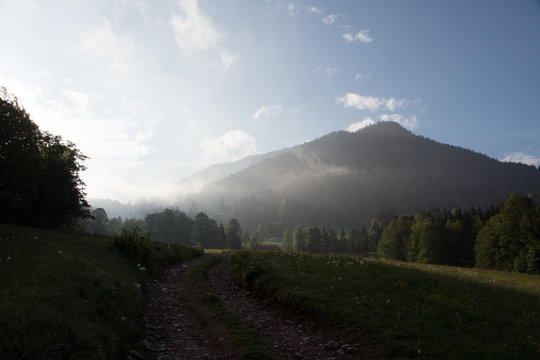 「Seekar」の写真素材 | 677件の無料イラスト画像 | Adobe Stock