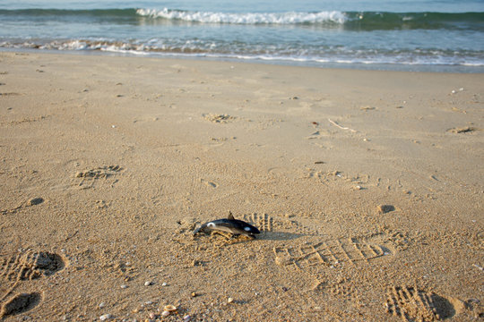 PARAMETH photos, images, assets | Adobe Stock