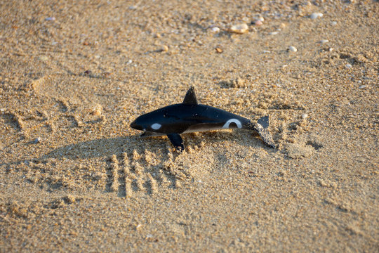 PARAMETH photos, images, assets | Adobe Stock