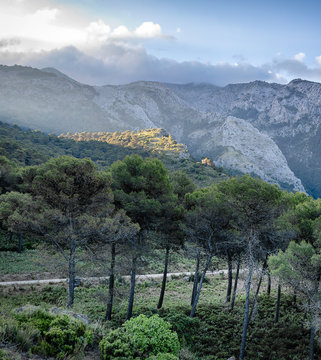 Alcaucin-Bilder: Stock-Fotos & -Videos. | Adobe Stock