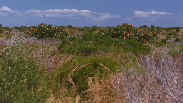Baskia Bilder – Durchsuchen 22 Archivfotos, Vektorgrafiken und Videos ...