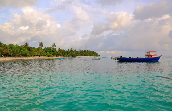 Dhangethi Images – Browse 33 Stock Photos, Vectors, and Video | Adobe Stock