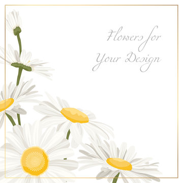 Daisy Corner Images – Browse 3,130 Stock Photos, Vectors, and Video ...