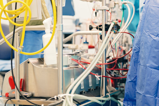 Tah Images – Browse 457 Stock Photos, Vectors, and Video | Adobe Stock