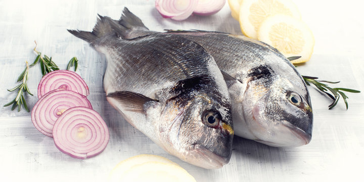 Free Fish Images – Browse 12,518 Free Stock Photos, Vectors, and Video ...