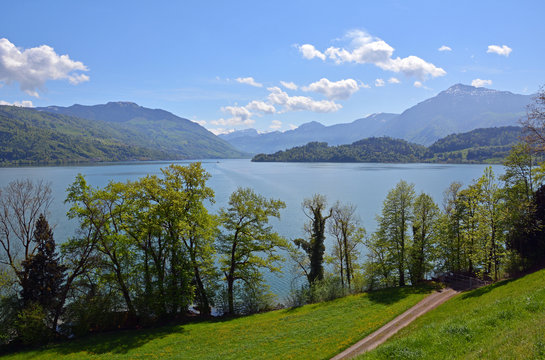 รูปภาพWildspitz – เลือกดูภาพถ่ายสต็อก เวกเตอร์ และวิดีโอ201 | Adobe Stock