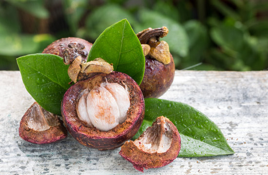 「Mangostane」の画像 - 256 件の Stock 写真、ベクターおよびビデオ | Adobe Stock