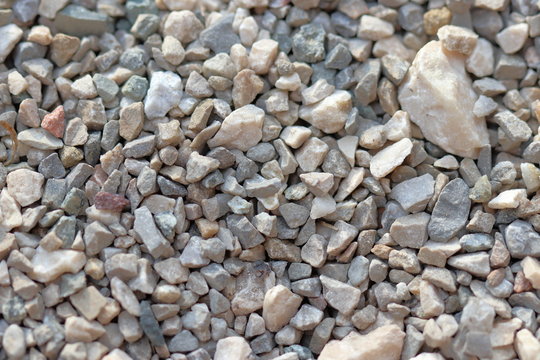 Spitzig bilder – Bläddra bland 460 stockfoton, vektorer och videor ...