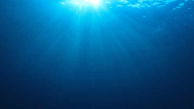 รูปภาพOcen – เลือกดูภาพถ่ายสต็อก เวกเตอร์ และวิดีโอ14,533,025 | Adobe Stock