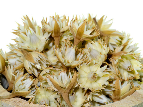 Bokul Images – Browse 63 Stock Photos, Vectors, and Video | Adobe Stock