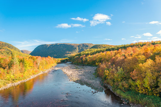 รูปภาพBreton – เลือกดูภาพถ่ายสต็อก เวกเตอร์ และวิดีโอ35,728 | Adobe Stock