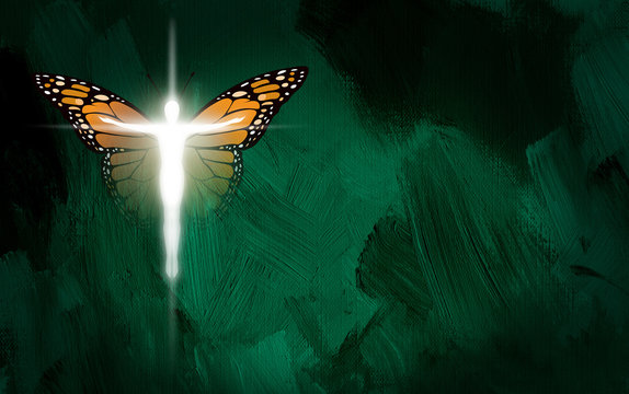 รูปภาพMetamorphosis – เลือกดูภาพถ่ายสต็อก เวกเตอร์ และวิดีโอ63,147 ...