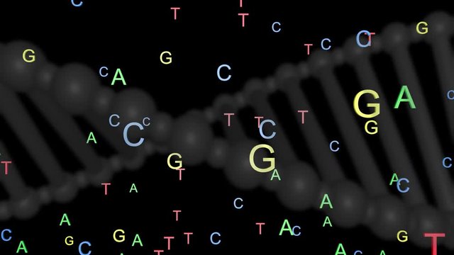 Atcg 影像 – 瀏覽 127 個素材庫相片、向量圖和影片 | Adobe Stock