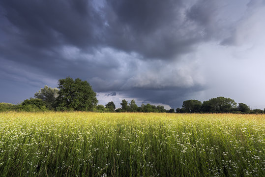 "Milieu Naturel" Images – Browse 2,451 Stock Photos, Vectors, and Video ...