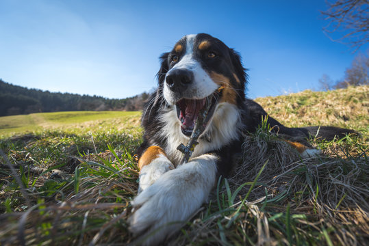 Imagens de Nagen – Explore Fotografias do Stock, Vetores e Vídeos de ...