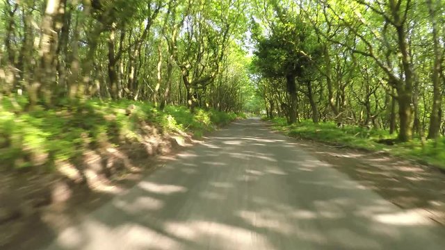 Quantocks Images – Browse 252 Stock Photos, Vectors, and Video | Adobe ...