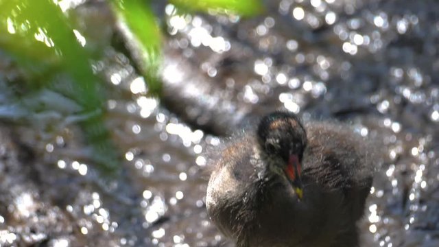รูปภาพ180P – เลือกดูภาพถ่ายสต็อก เวกเตอร์ และวิดีโอ200 | Adobe Stock