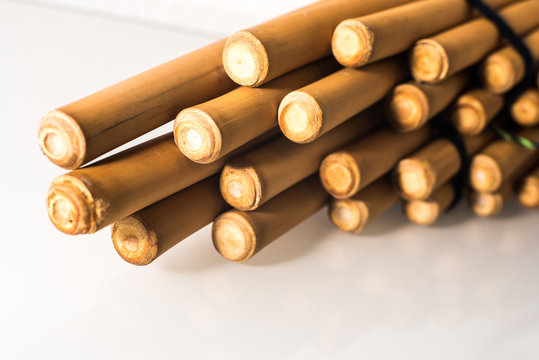 Zapona Images – Browse 50 Stock Photos, Vectors, and Video | Adobe Stock