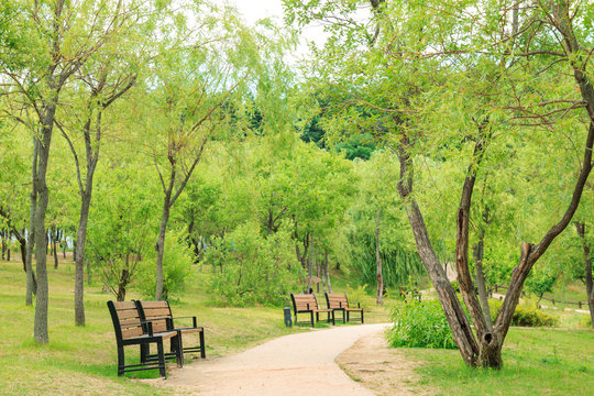 "Peaceful Background" Images – Browse 3,740 Stock Photos, Vectors, and ...