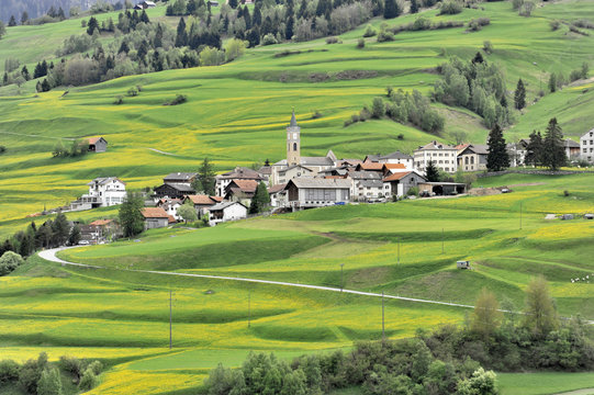 Bivio bilder – Bläddra bland 978 stockfoton, vektorer och videor ...