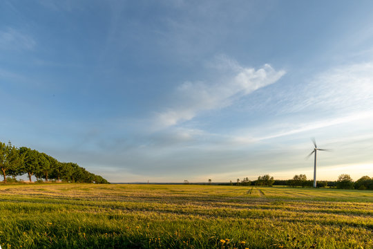 Biostrom Bilder – Durchsuchen 1,160 Archivfotos, Vektorgrafiken und ...
