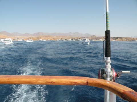 รูปภาพHochseefischen – เลือกดูภาพถ่ายสต็อก เวกเตอร์ และวิดีโอ196 ...