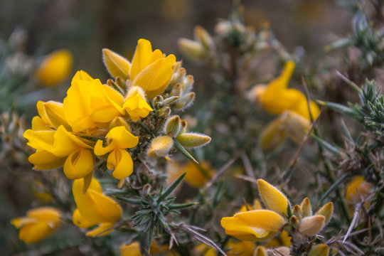 Maido Bilder – Durchsuchen 584 Archivfotos, Vektorgrafiken und Videos | Adobe Stock