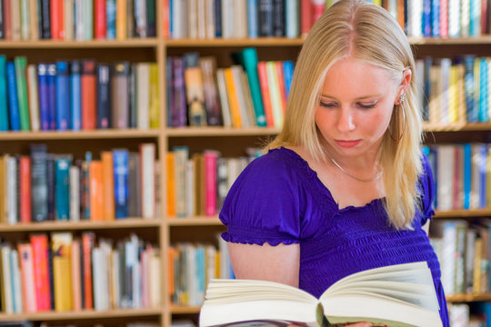 Bookreader Images – Browse 91 Stock Photos, Vectors, and Video | Adobe ...