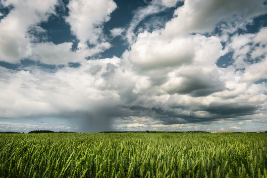 "Summer Rain" Images – Browse 3,430 Stock Photos, Vectors, and Video ...