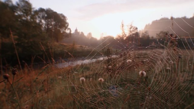 "Spider Web Dew" Images – Browse 126 Stock Photos, Vectors, and Video ...