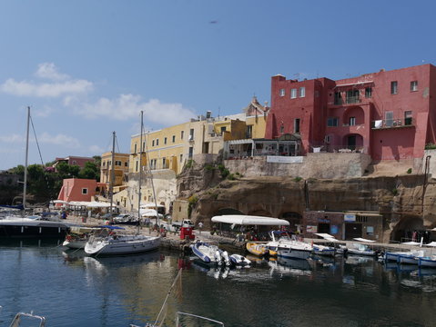 Pandateria Imagens – Procure 9 fotos, vetores e vídeos | Adobe Stock