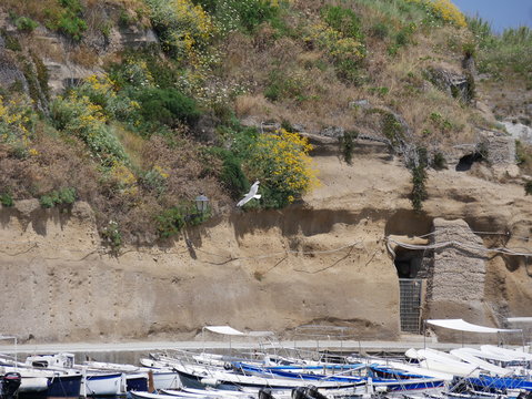 Pandateria Images – Browse 9 Stock Photos, Vectors, and Video | Adobe Stock