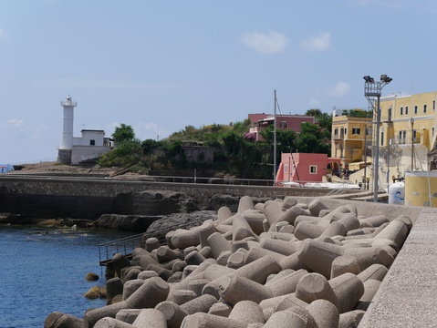 Pandateria Imagens – Procure 9 fotos, vetores e vídeos | Adobe Stock